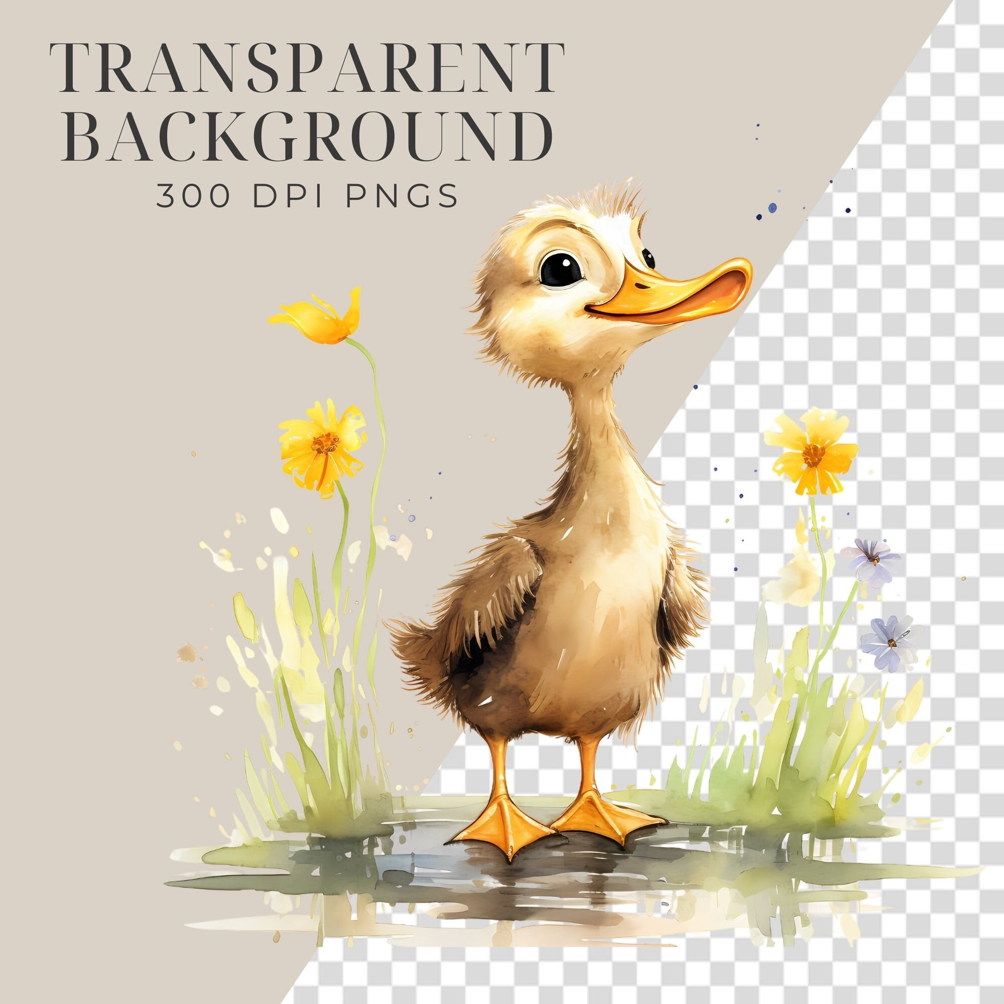 Funny Duck Clipart 20 Png, Cute Caricature Birds, Quirky Duckling ...