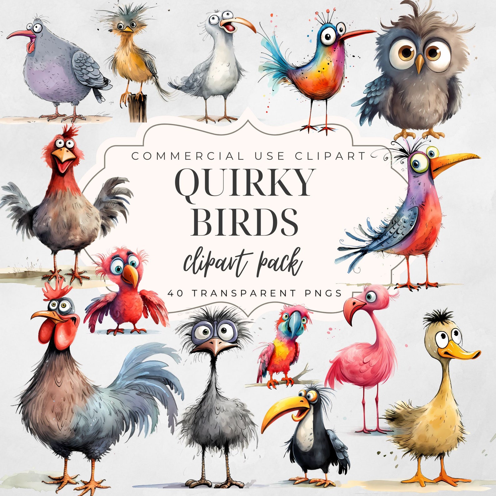 Bird Clipart Bundle Collection of 40 Cute and Funny Bird Illustrations ...