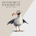 36 Quirky Sea Gulls Clipart | Funny Expressive Seagull Clipart Bundle ...