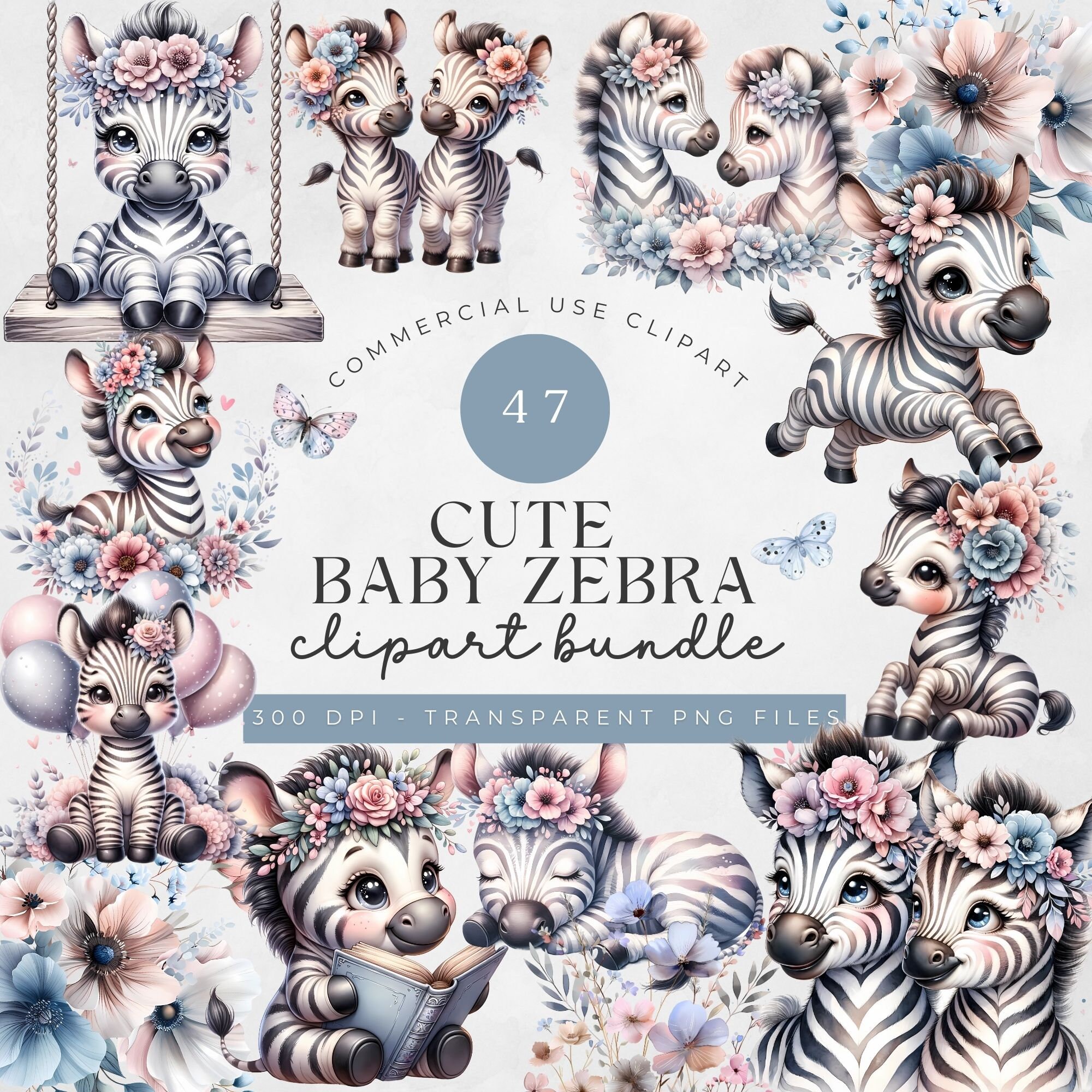 Cute Baby Zebra Clipart Bundle, Sweet Zebra, Baby Girl, Zebra PNG, Baby ...