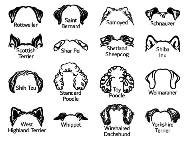 Dog Ear Decal Personalized - Etsy