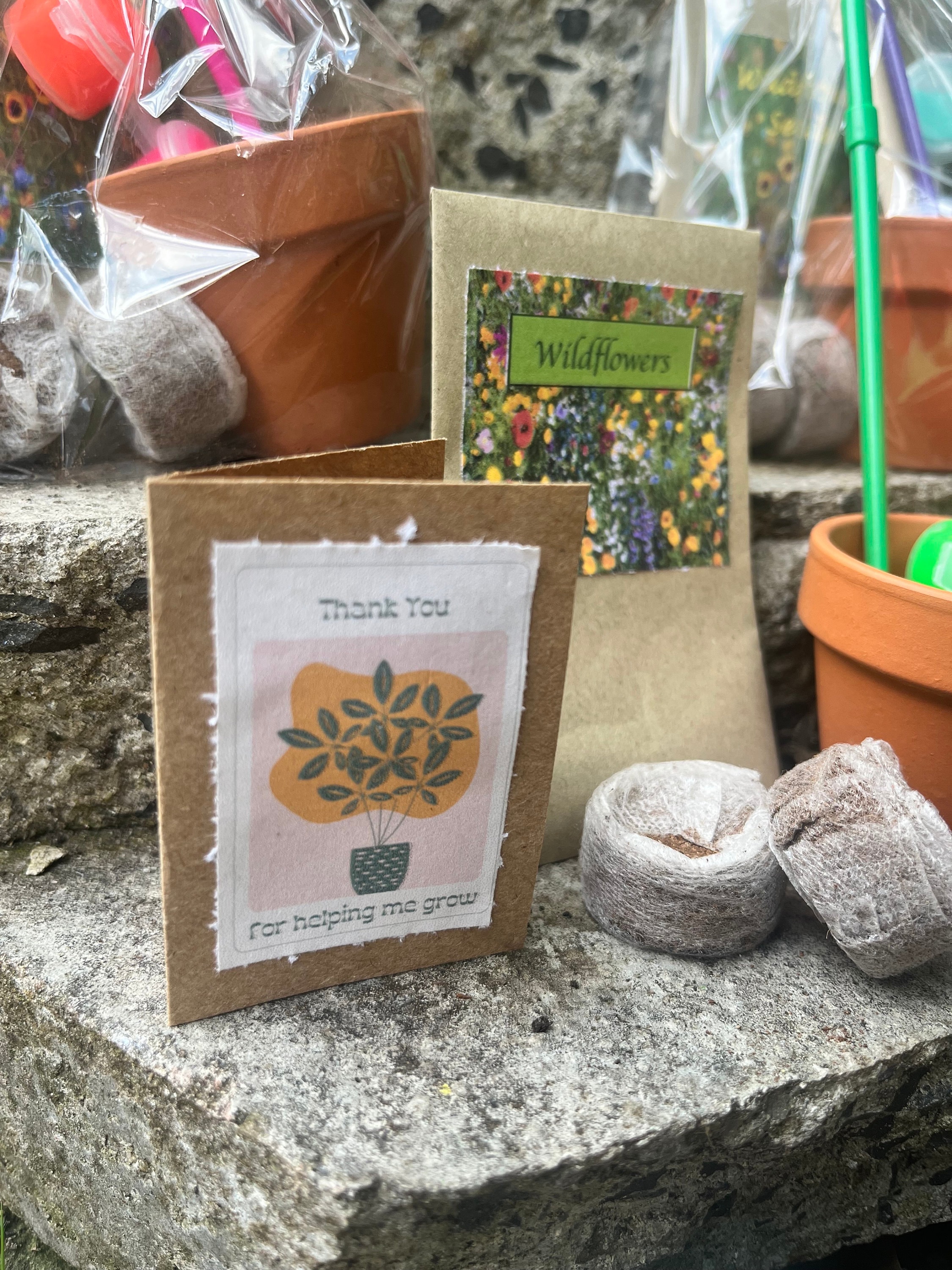 Kids Planting & Craft Set, Personalised Gift, Paint Your Own Plant Pot ...