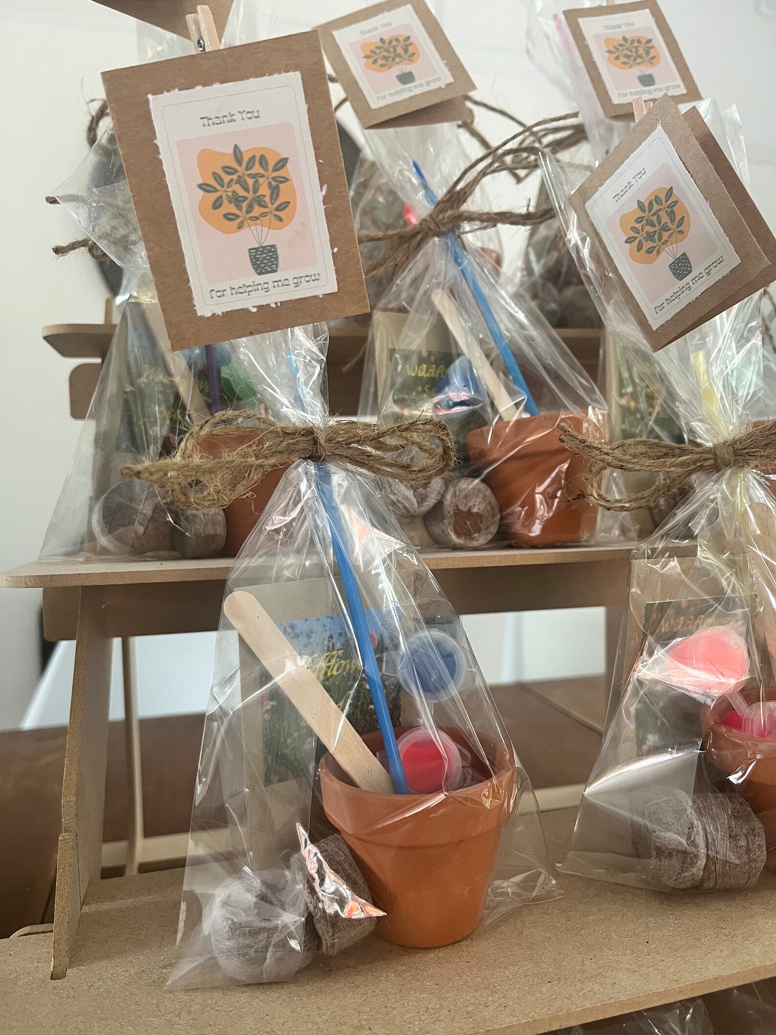 Kids Planting & Craft Set, Personalised Gift, Paint Your Own Plant Pot ...