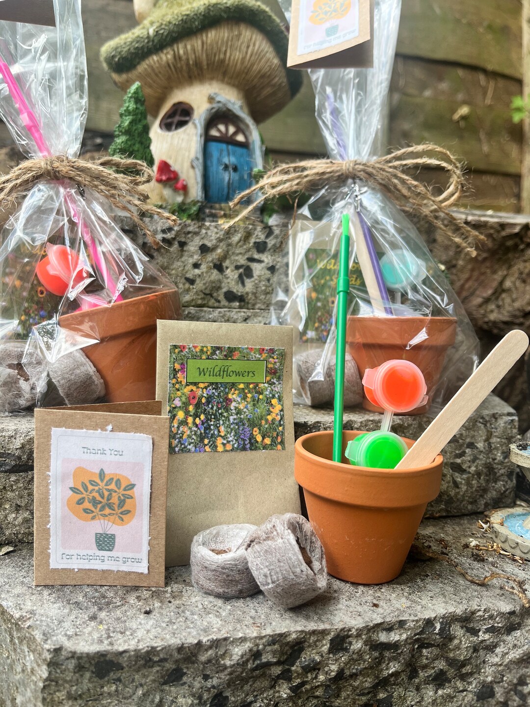 Kids Planting & Craft Set, Personalised Gift, Paint Your Own Plant Pot ...