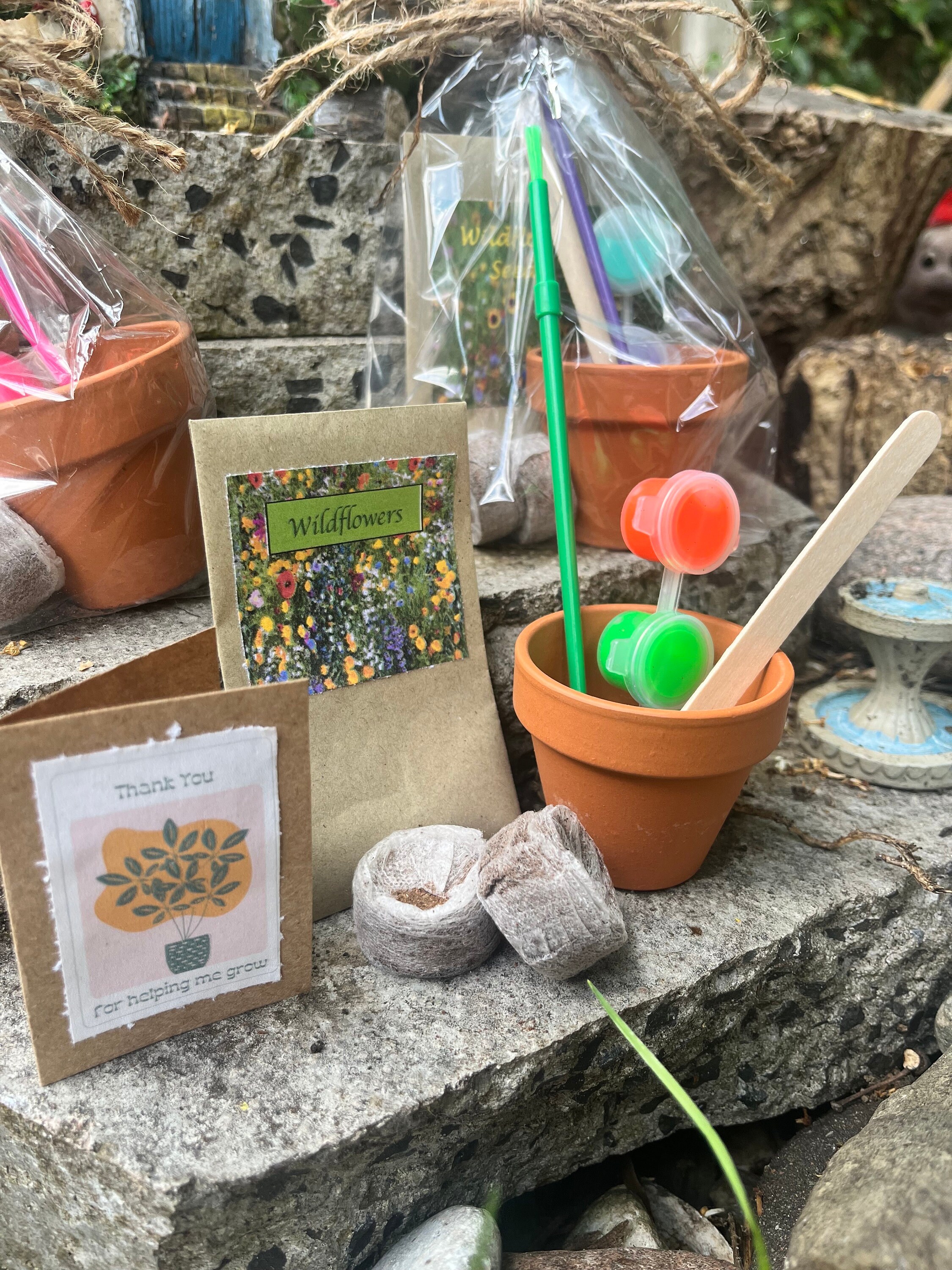 Kids Planting & Craft Set, Personalised Gift, Paint Your Own Plant Pot ...