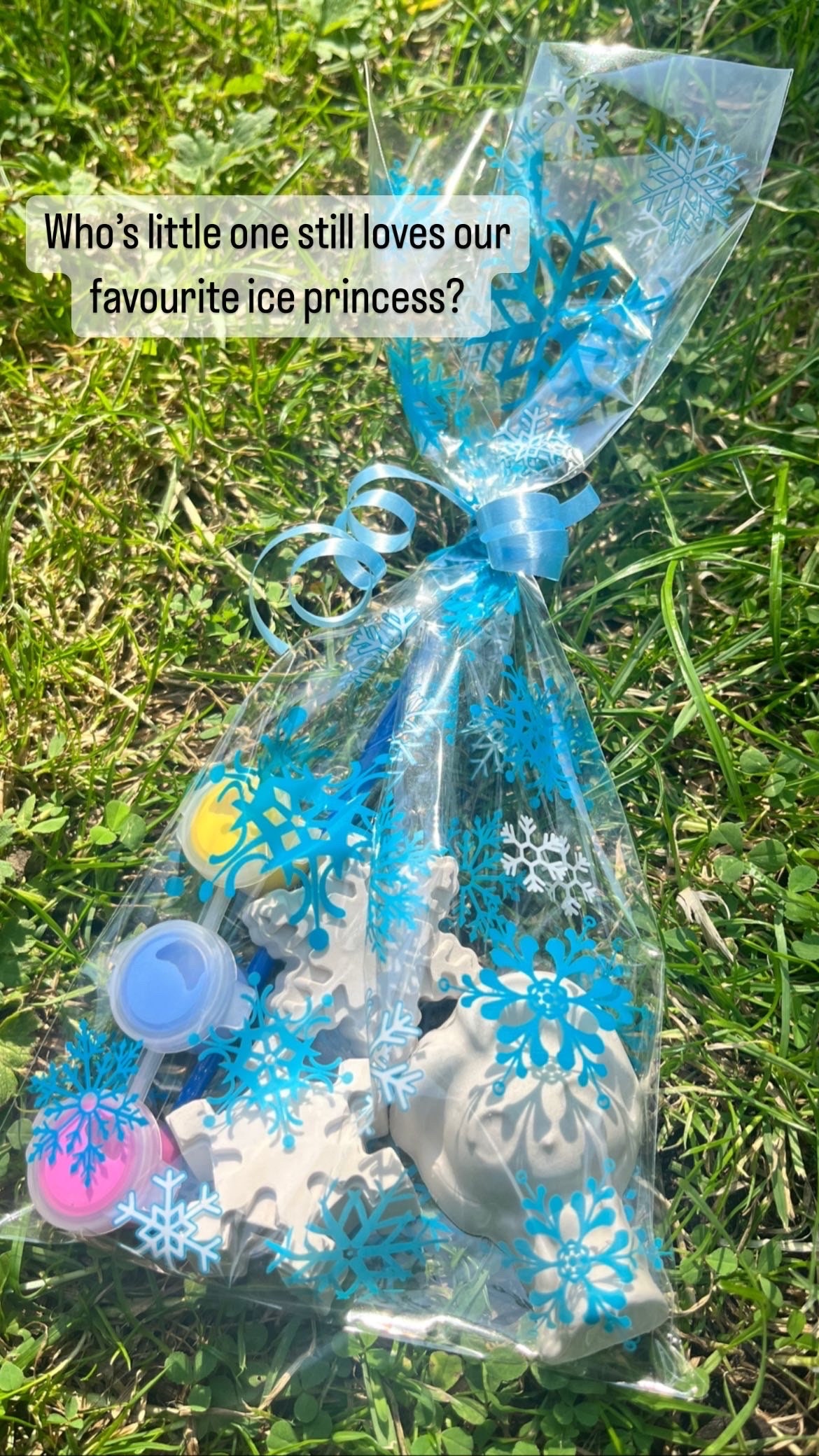 Ice Queen Party Favours, Princess Party Bag, Ice Queen Theme Party Gift ...