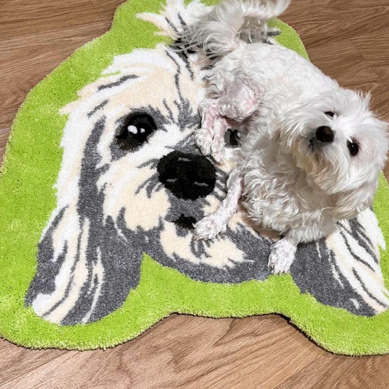 Personalised Pet Rug-handmade Tufted Rug-pet Lover Gift-ideal Christmas ...
