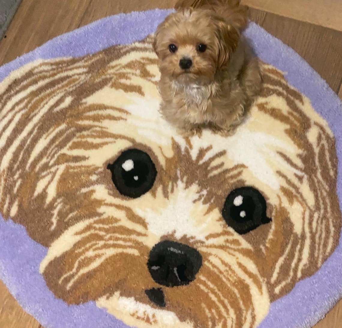 Personalised Pet Rug-handmade Tufted Rug-pet Lover Gift-ideal Christmas ...