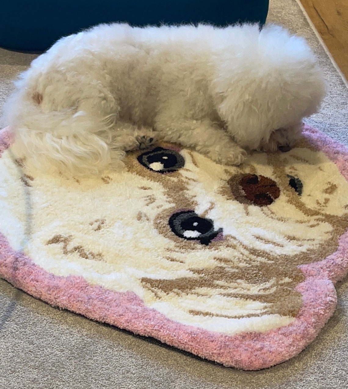 Personalised Pet Rug-handmade Tufted Rug-pet Lover Gift-ideal Christmas ...