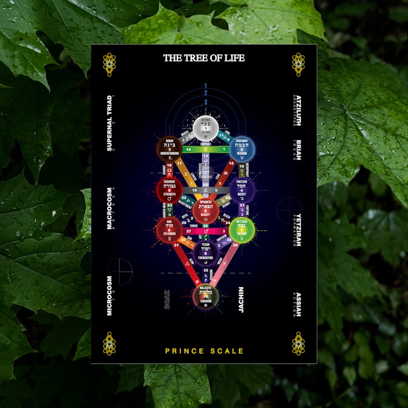 The Tree of Life Prince Scale (dark Background) - Etsy