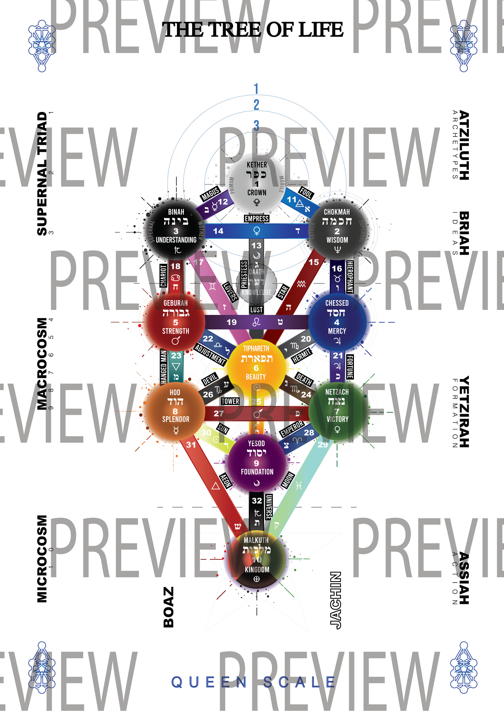 The Tree of Life Queen Scale (white Background) - Etsy