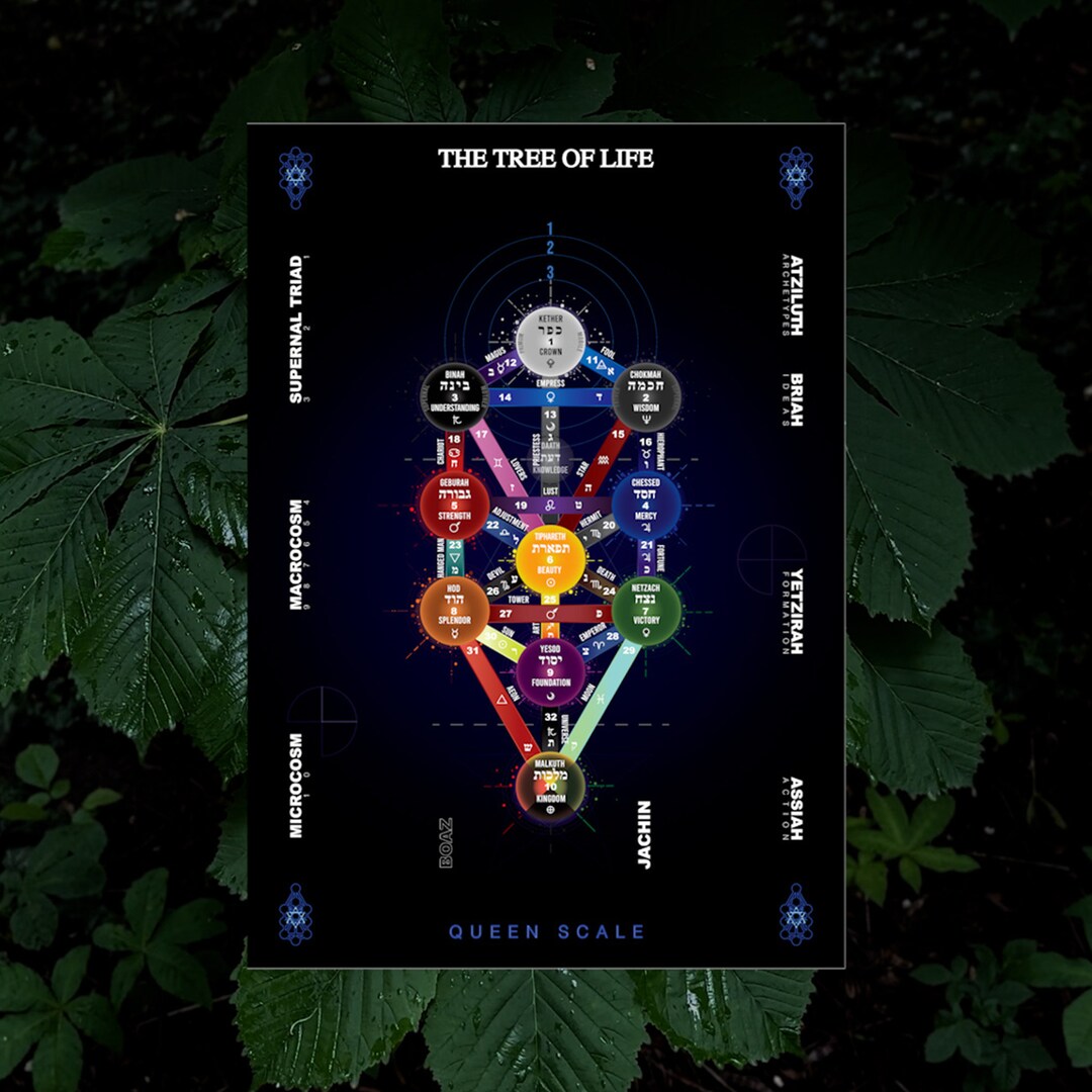 The Tree of Life Queen Scale (dark Background) - Etsy