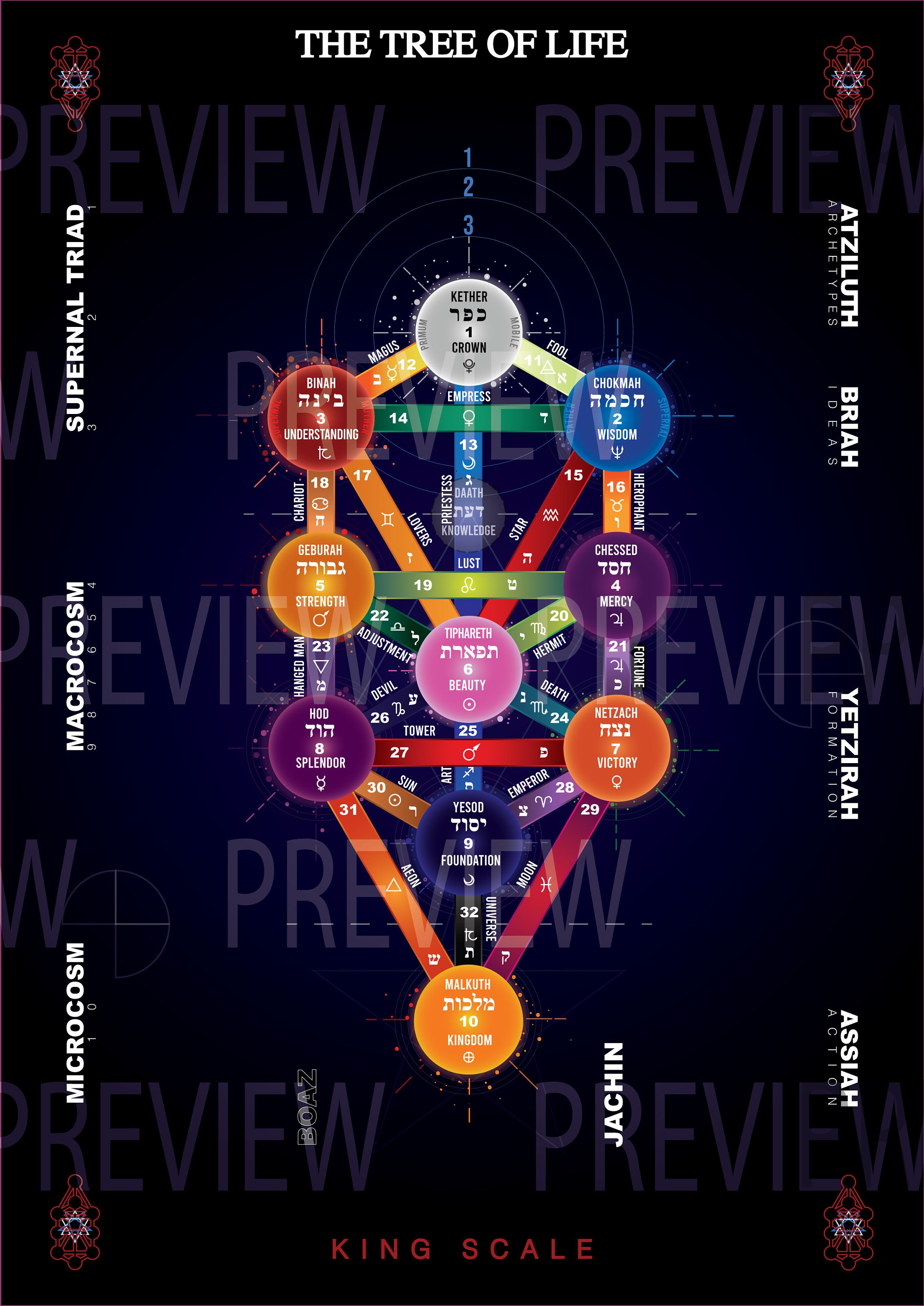 The Tree of Life King Scale dark Background - Etsy