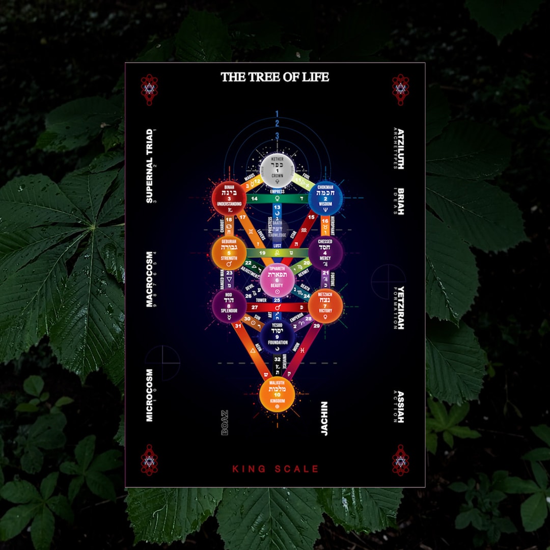 The Tree of Life King Scale (dark Background) - Etsy