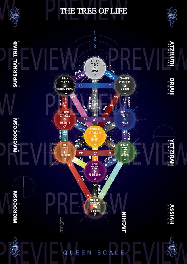 The Tree of Life Queen Scale (dark Background) - Etsy