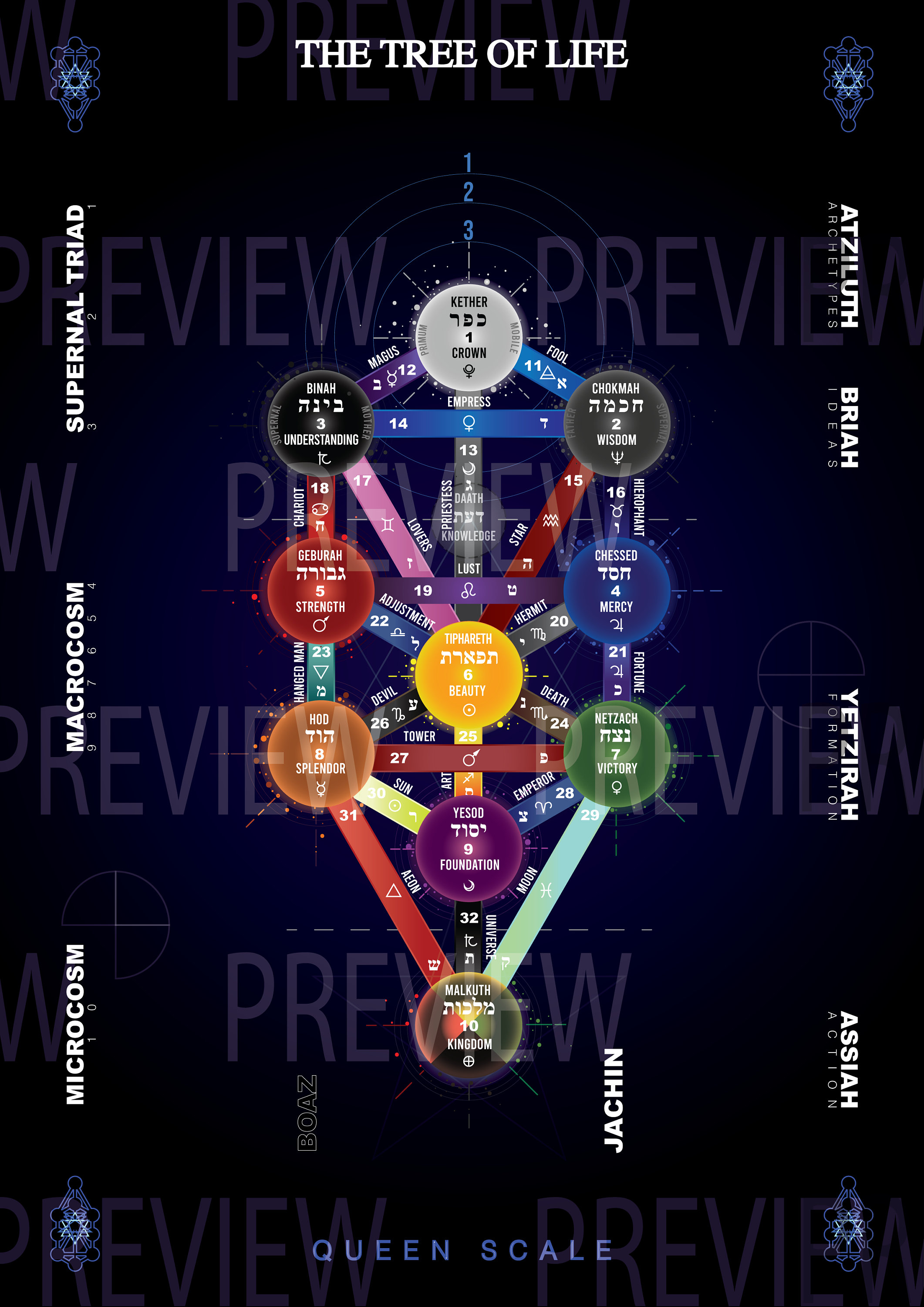 The Tree of Life Queen Scale dark Background - Etsy