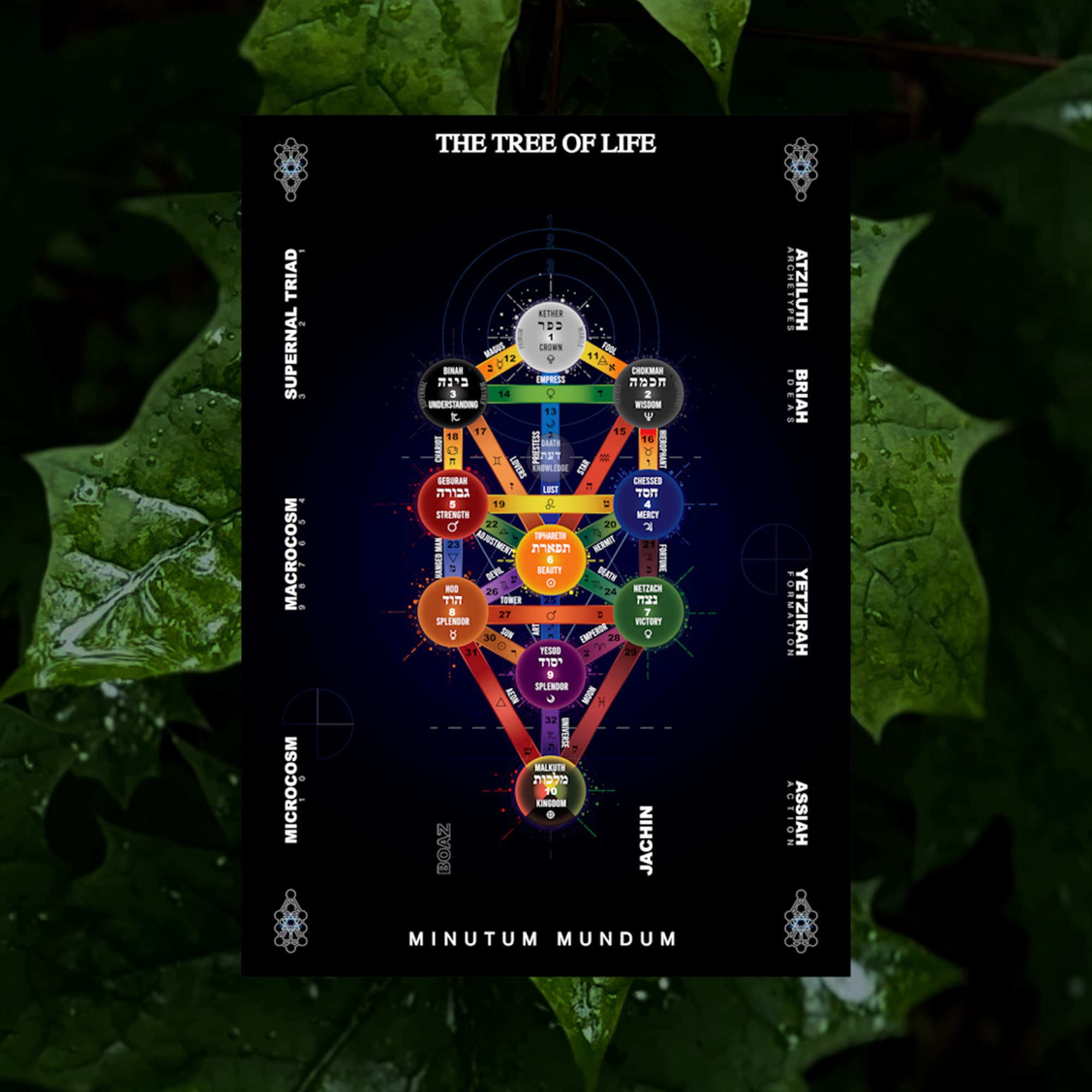 The Tree of Life Minutum Mundum (dark Background) - Etsy