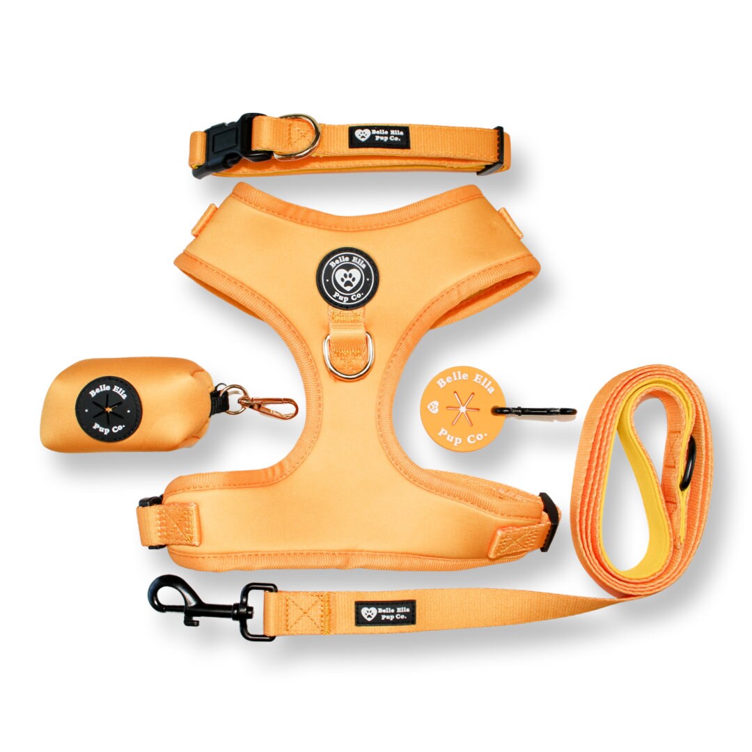 Sunshine Yellow Dog Harness Set, Orange Dog Harness Set, Adjustable Dog ...