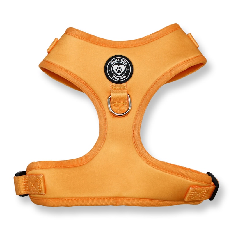 Sunshine Yellow Dog Harness Set Orange Dog Harness Set - Etsy