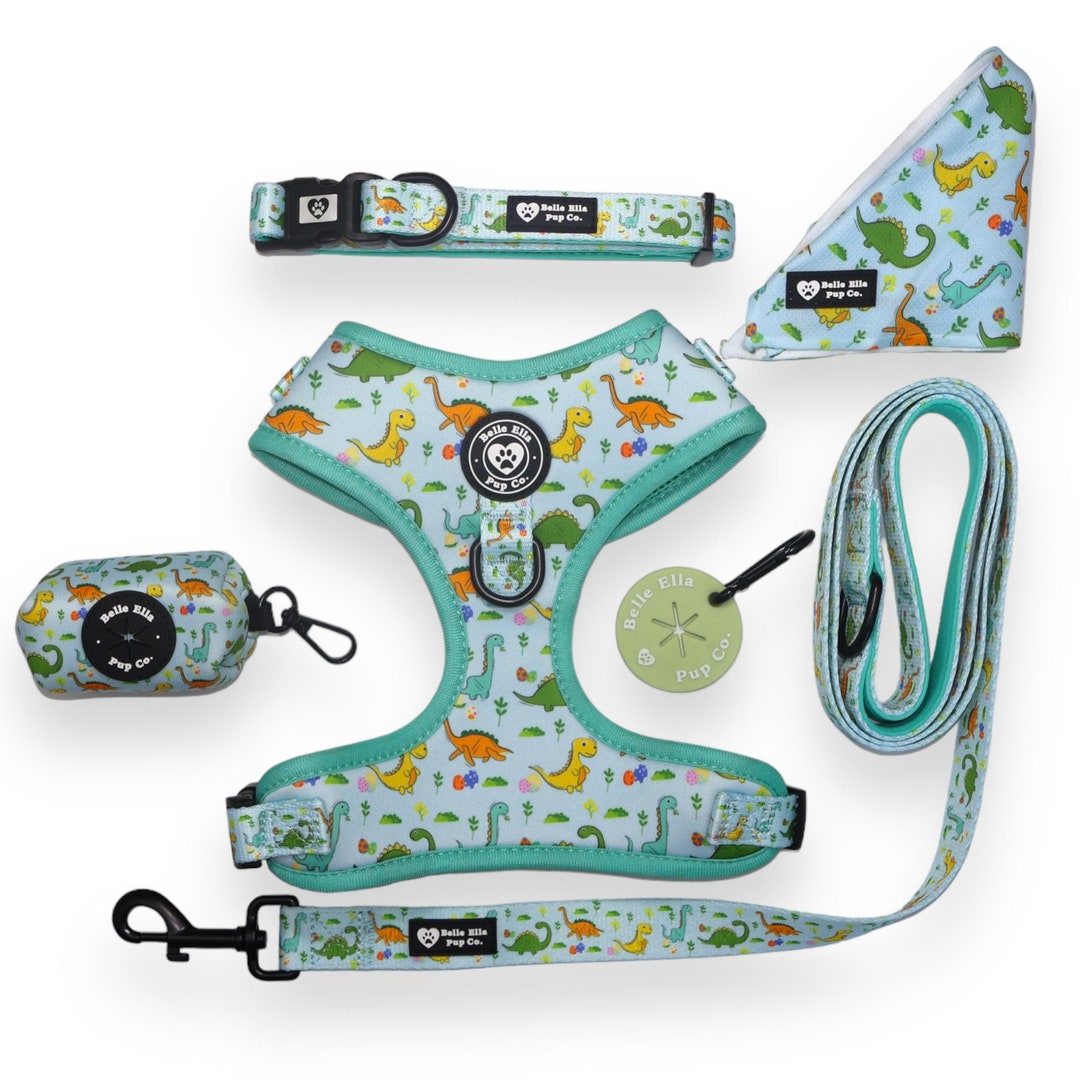 Dinosaur Pattern Adjustable Dog Harness, Matching Dog Harness Set ...