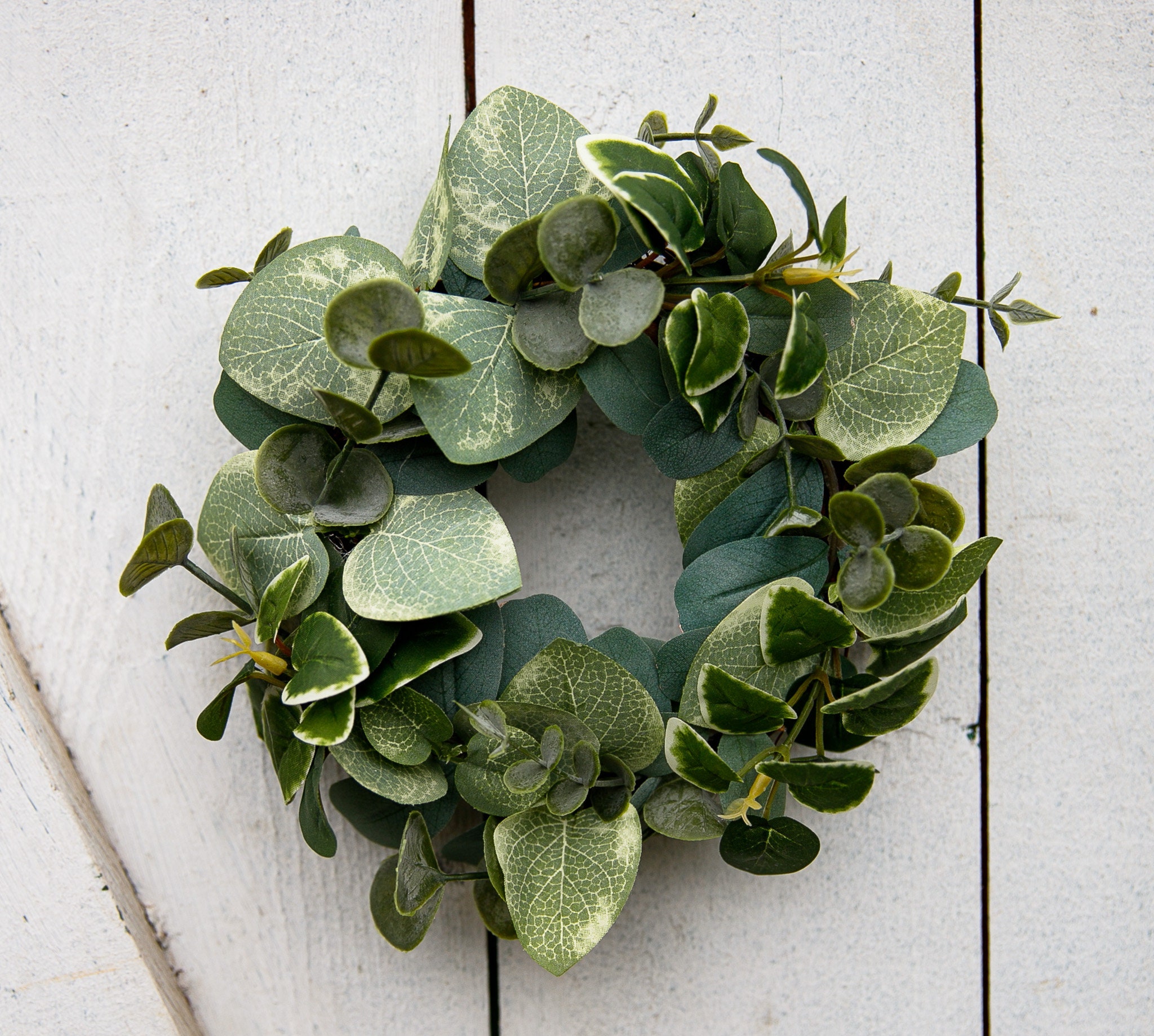 Mini Wreaths- Lamb's Ear, Olive Branch, Mixed Greenery, Eucalyptus ...