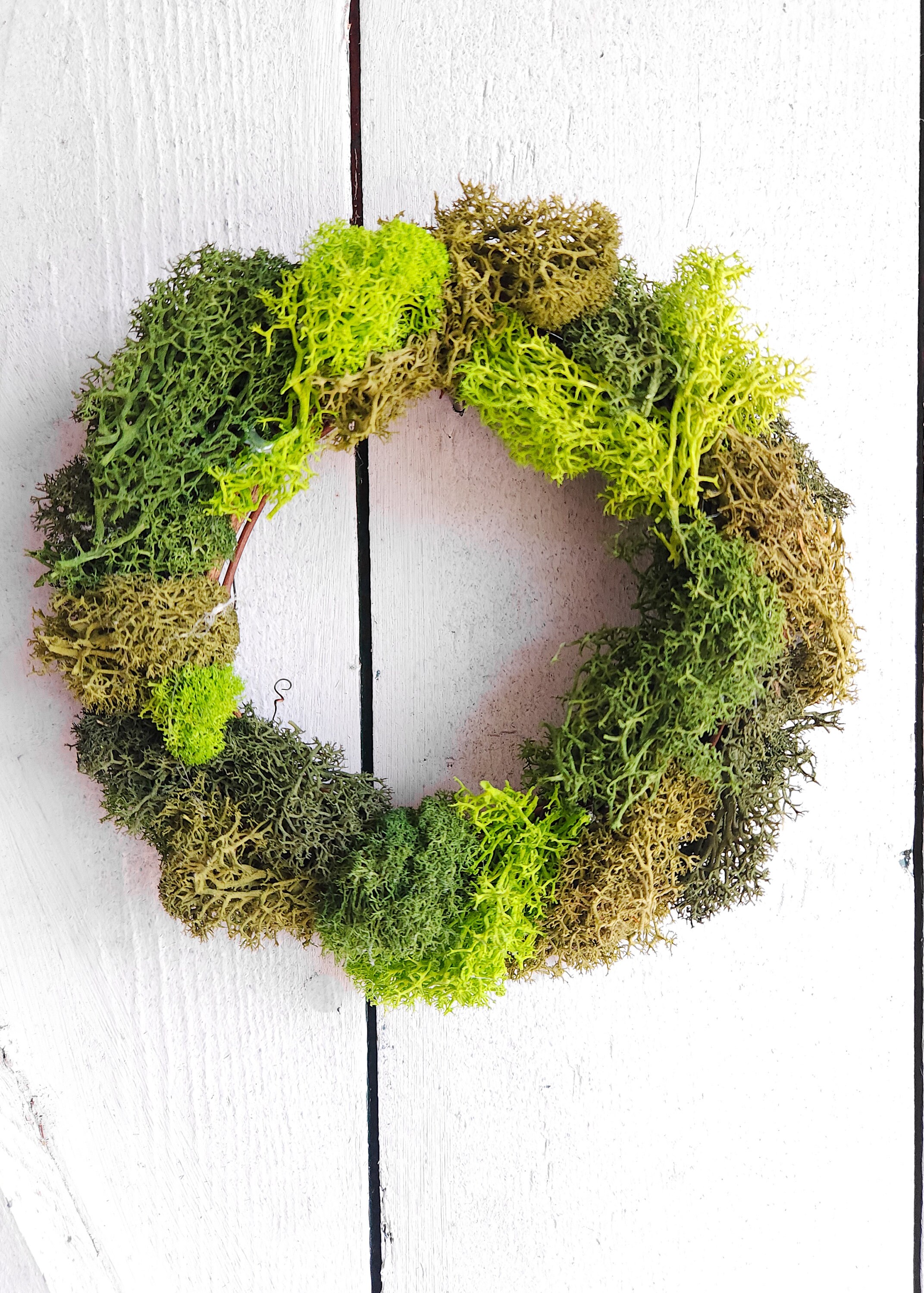Mini Wreaths- Lamb's Ear, Olive Branch, Mixed Greenery, Eucalyptus ...