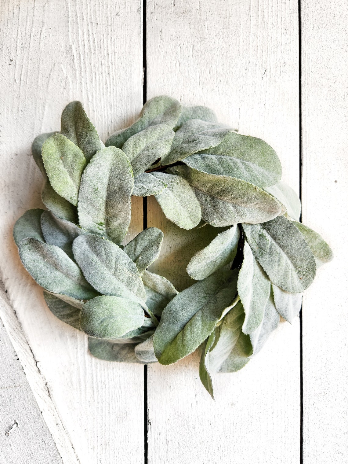 Mini Wreaths- Lamb's Ear, Olive Branch, Mixed Greenery, Eucalyptus ...