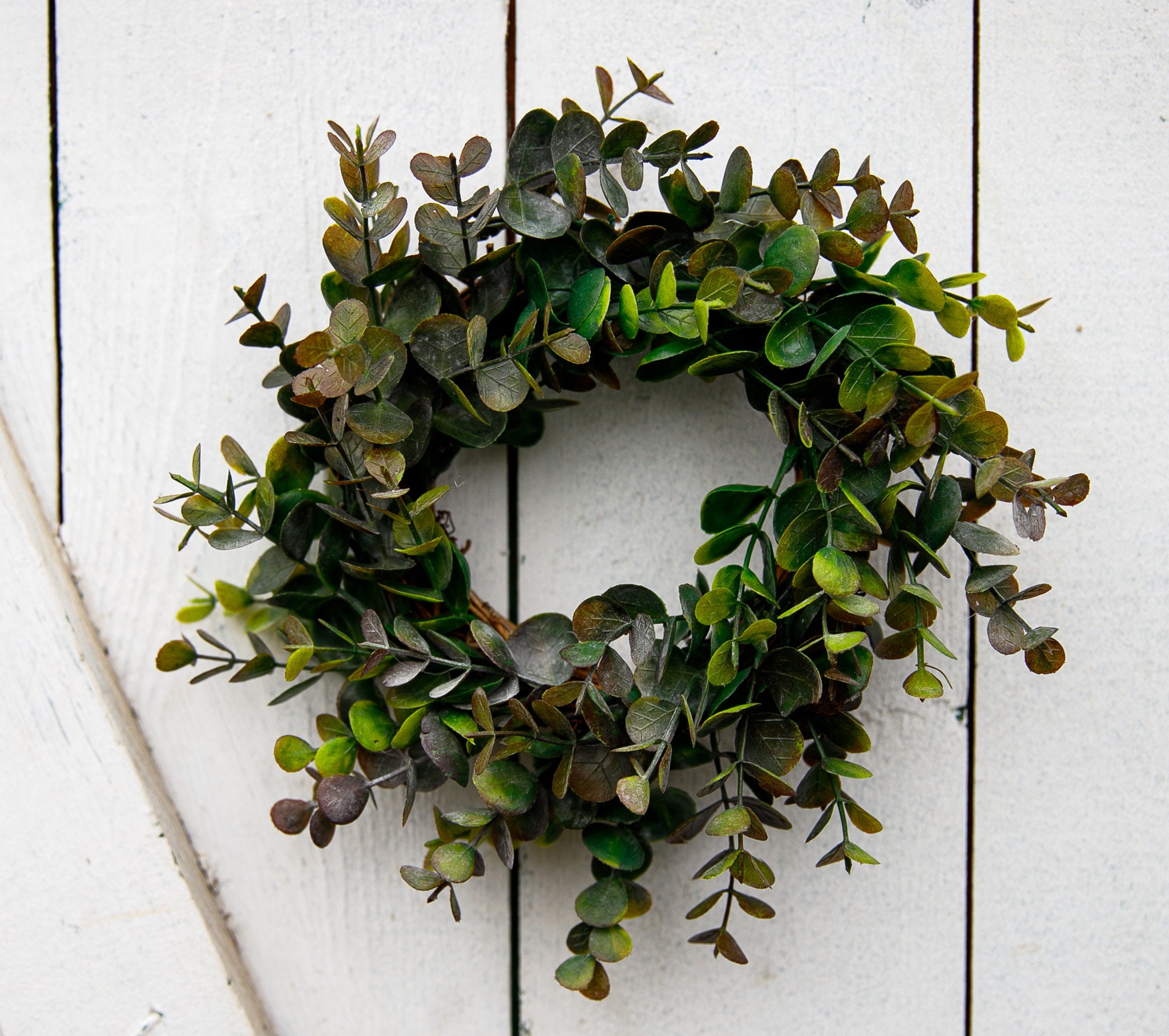 Mini Wreaths- Lamb's Ear, Olive Branch, Mixed Greenery, Eucalyptus ...