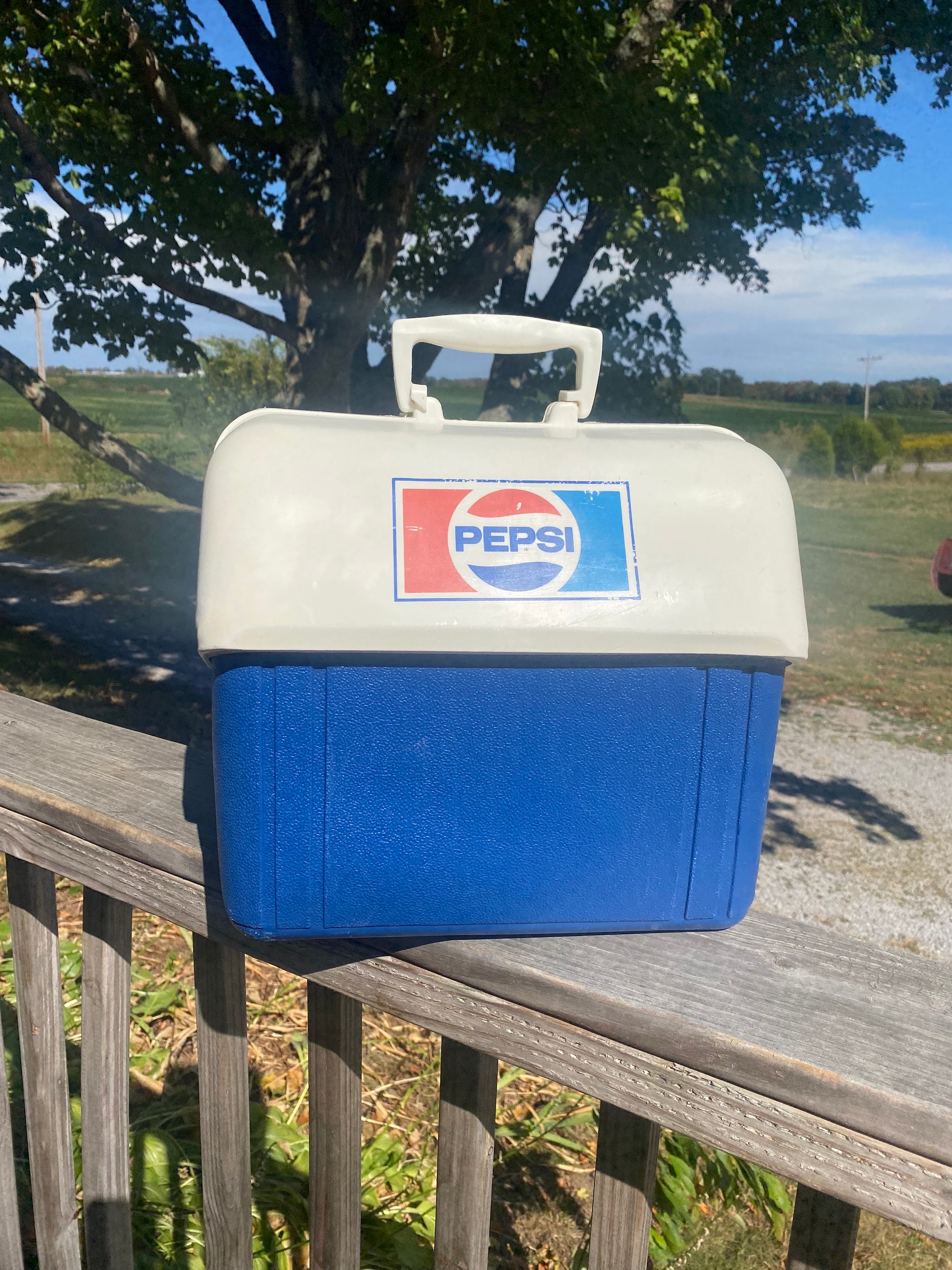 Vintage Pepsi Cooler 80s Pepsi Logo Blue and White Cooler Covey Corp ...