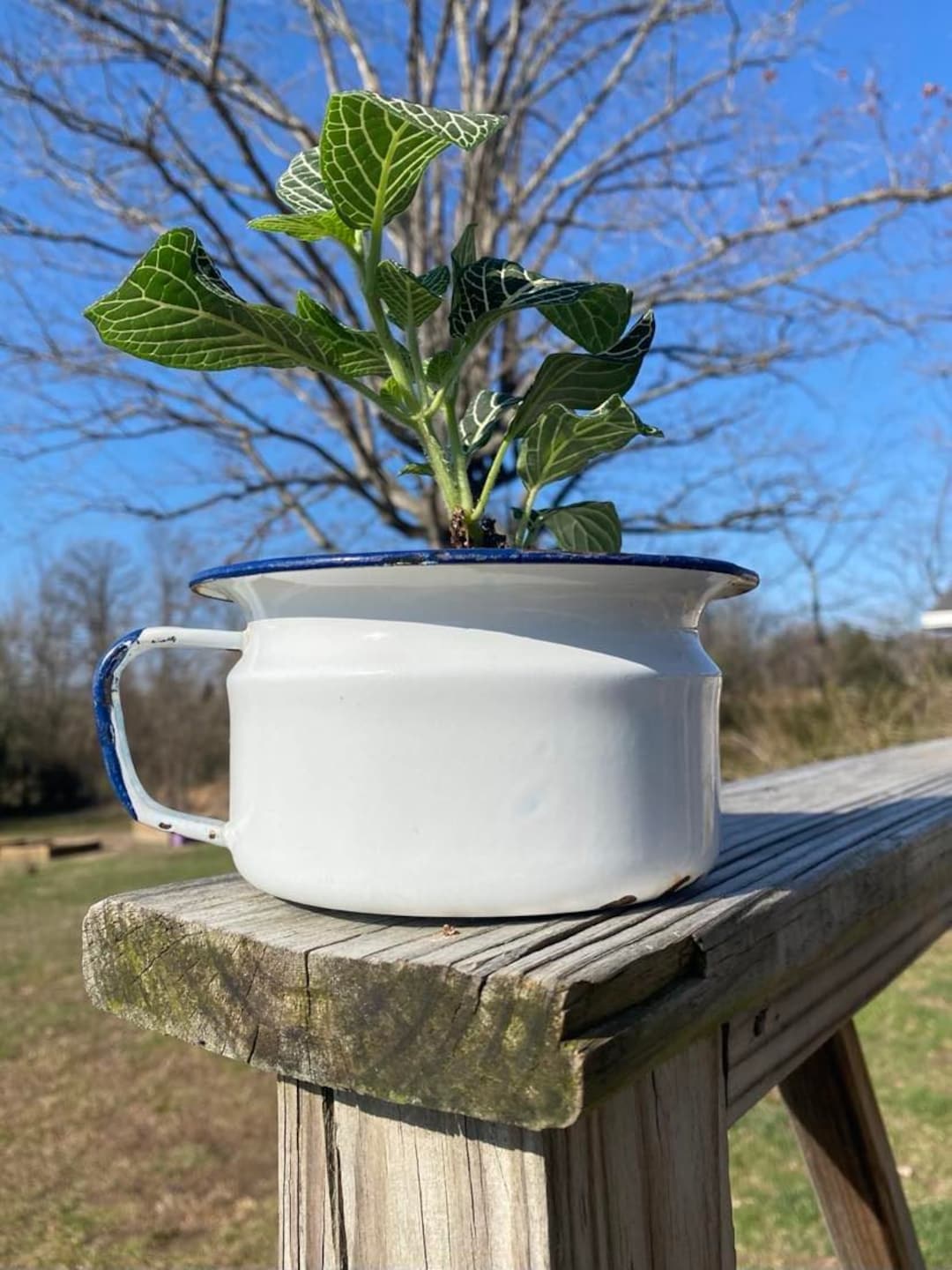 Vintage 1940s Small Metal and Enamel Chamber Pot MCM Planter/decor - Etsy