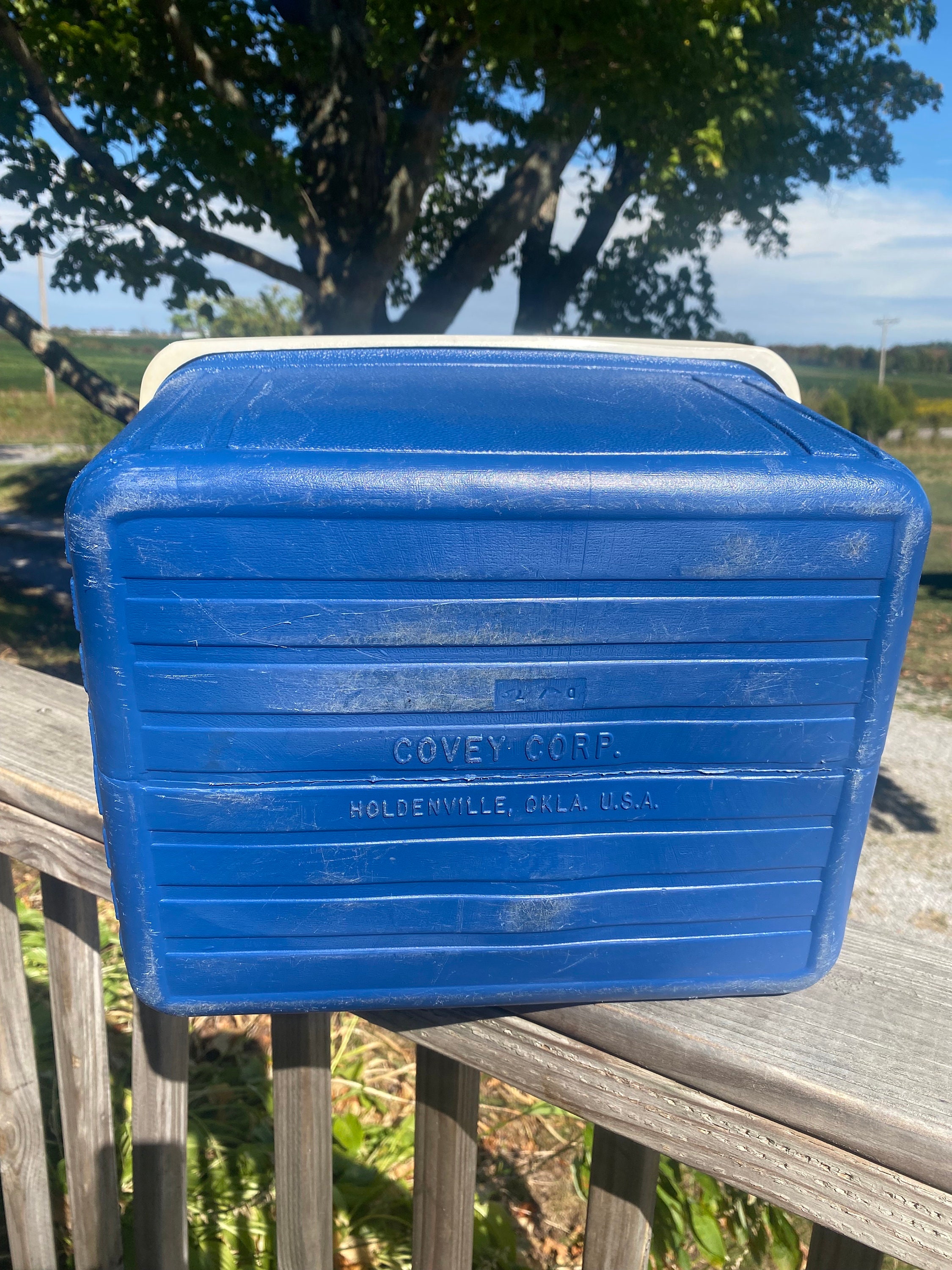 Vintage Pepsi Cooler 80s Pepsi Logo Blue and White Cooler Covey Corp ...
