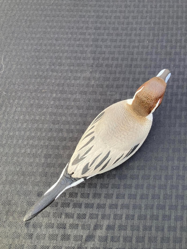Hand-carved Northern Pintail Duck Decoy - Etsy