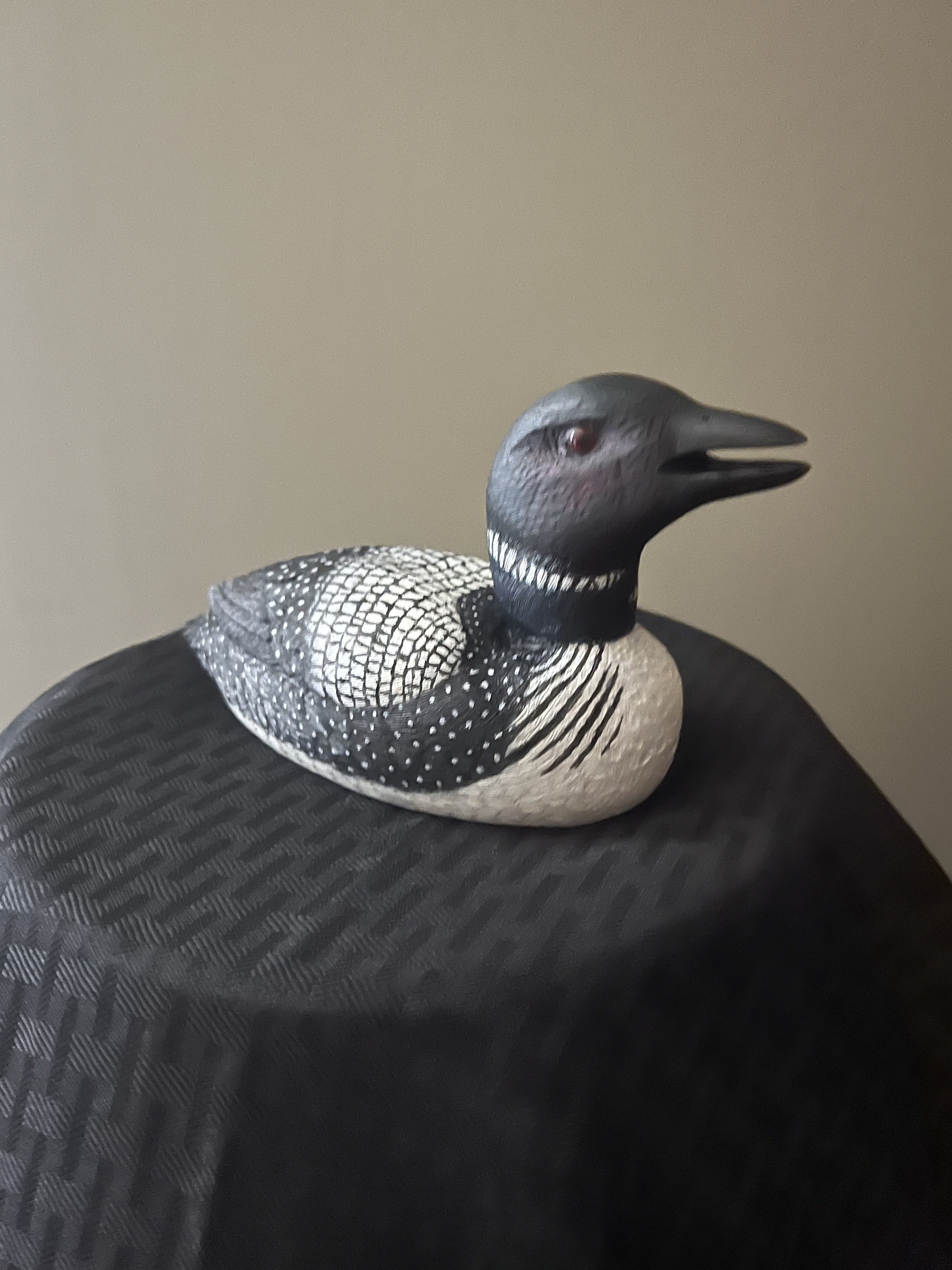 Common Loon - Etsy