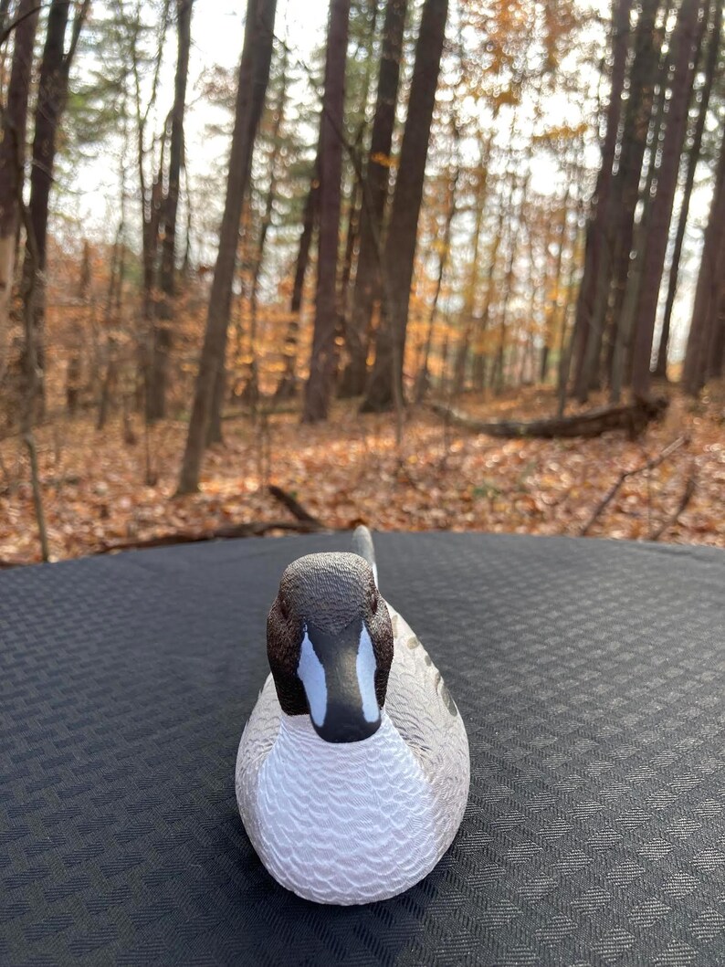 Hand-carved Northern Pintail Duck Decoy - Etsy
