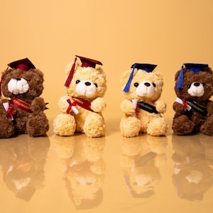 Graduation Bear, Custom Graduation Gift, Custom Bear With ...