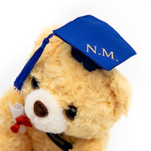 Graduation Bear, Custom Graduation Gift, Custom Bear With ...