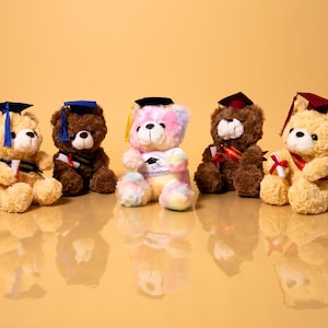 Graduation Bear, Custom Graduation Gift, Custom Bear With ...