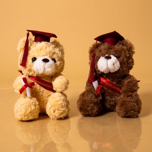 Graduation Bear, Custom Graduation Gift, Custom Bear With ...
