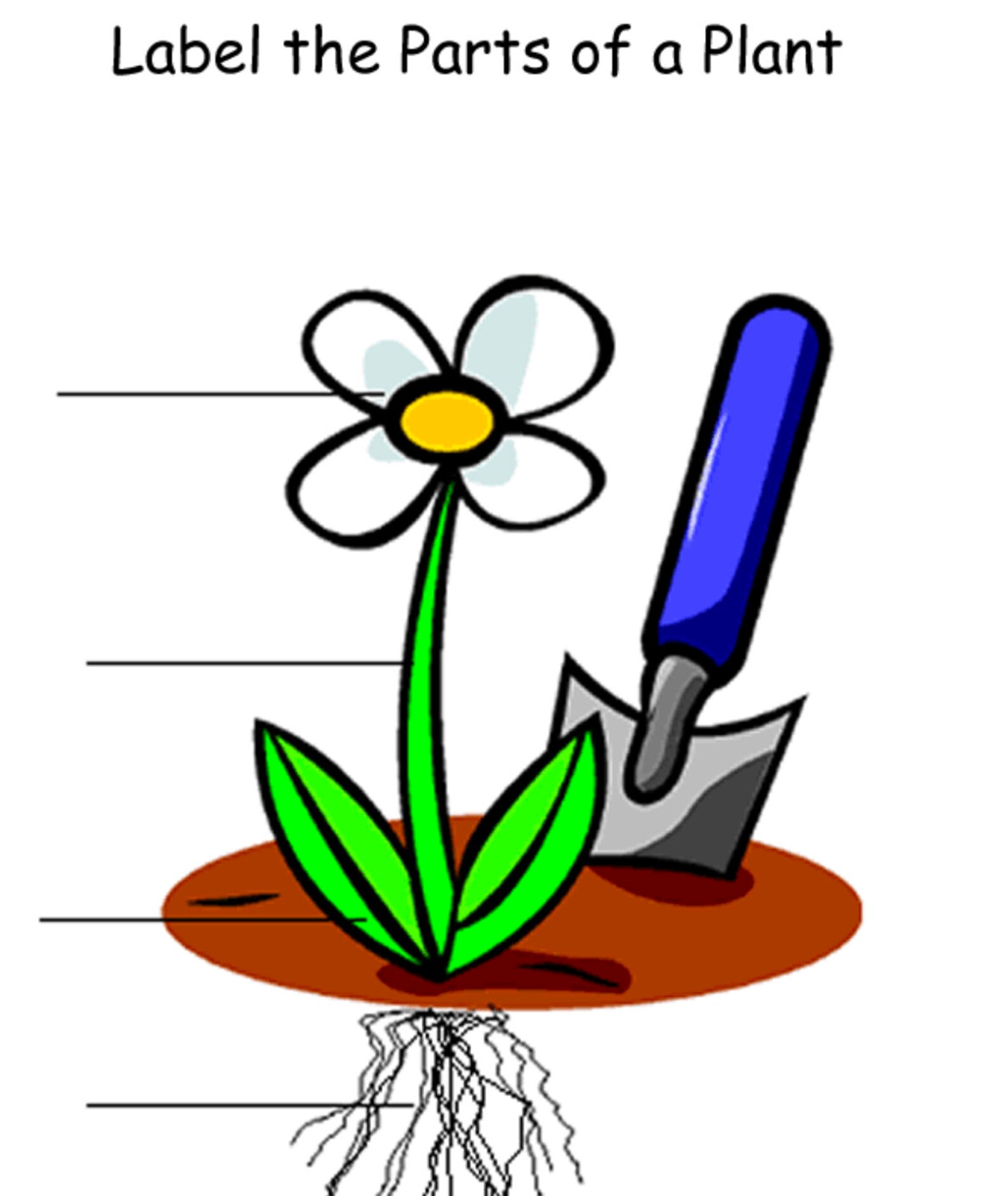 Plant Quiz (2 Pages) - Etsy