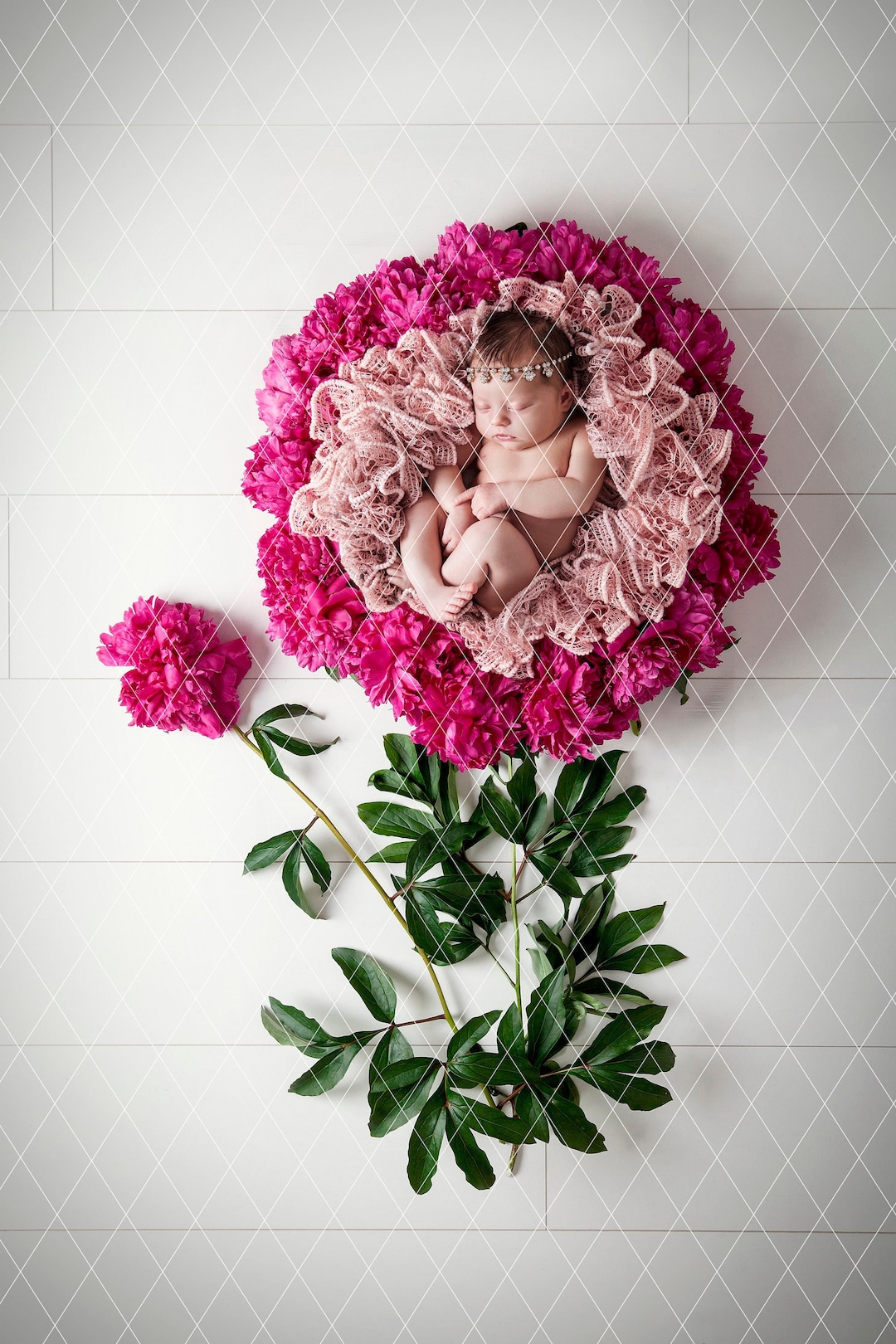 Newborn and Baby Digital Background With Flower - Etsy