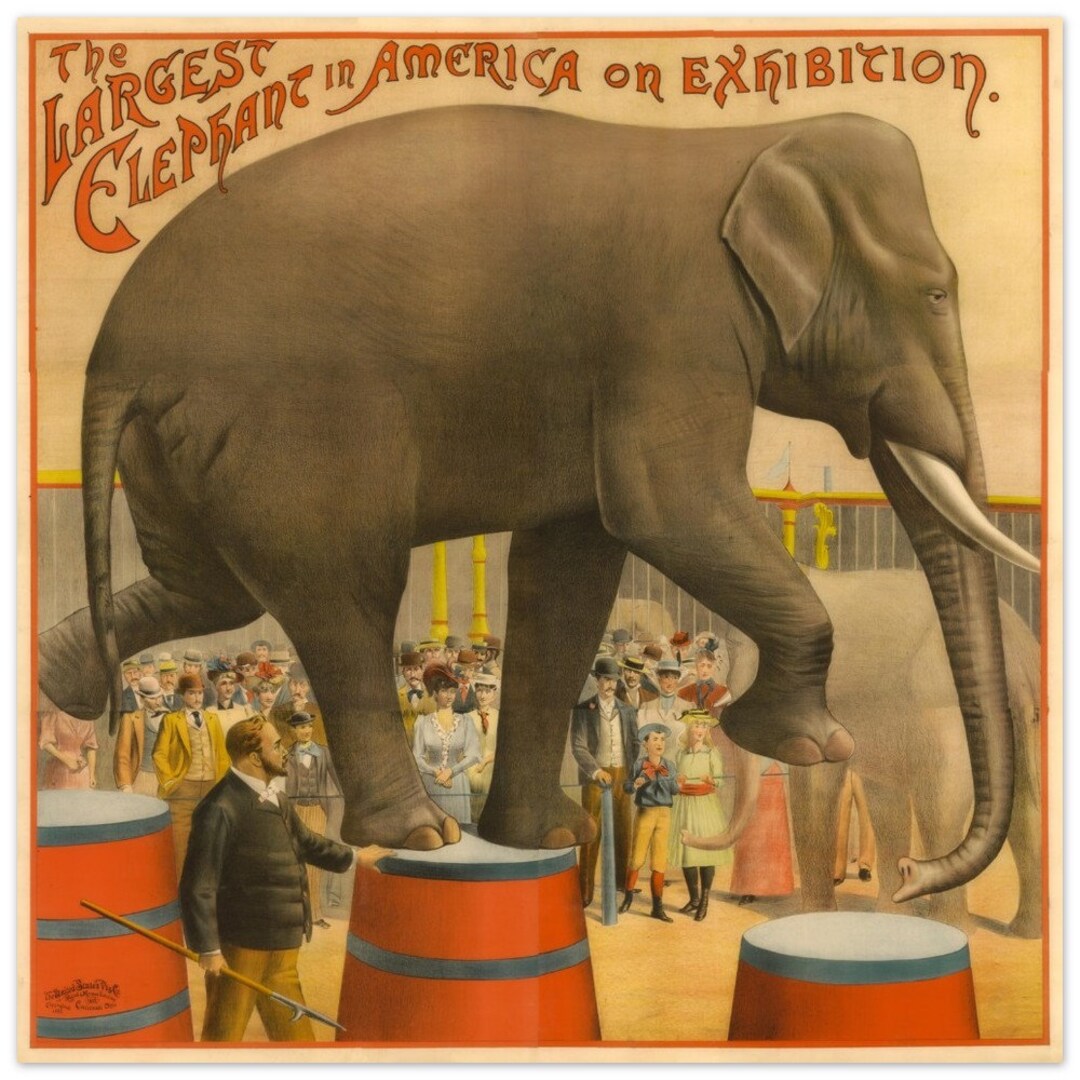 Vintage Circus Exhibition Poster. Remastered Fine Art Reproduction - Etsy