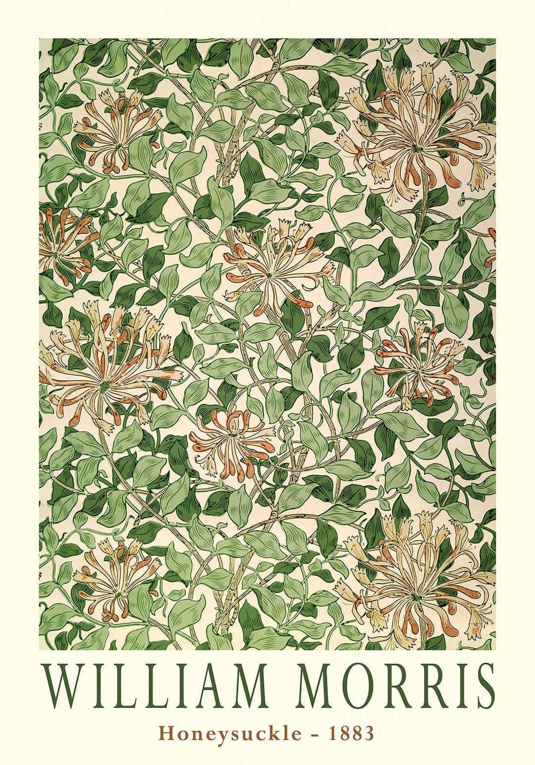 William Morris Art Print Honeysuckle Wallpaper. Vintage Flower and Leaves Poster. Premium Matte ...