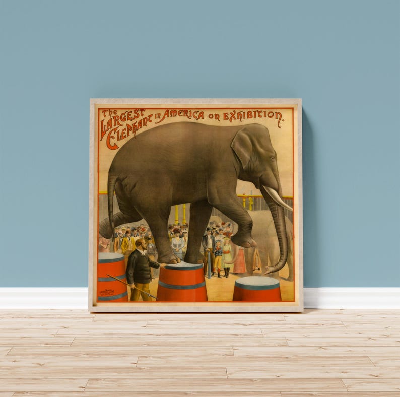 Vintage Circus Exhibition Poster. Elephant at the Circus . Remastered ...