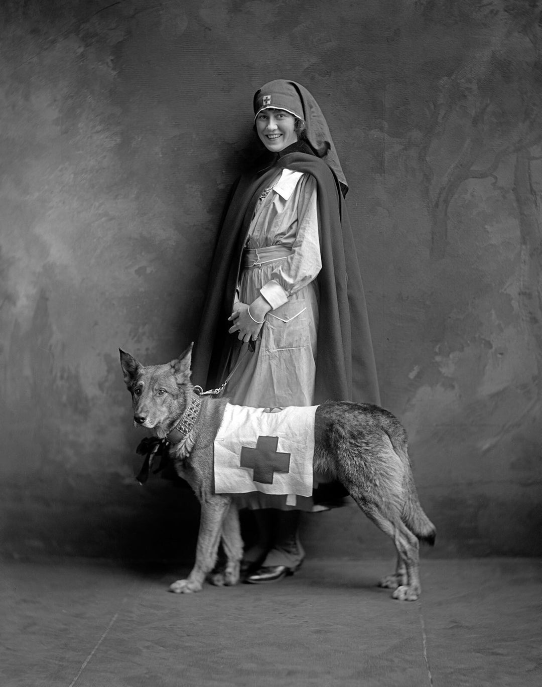 Red Cross Nurse With Dog Poster Reproduction by Harris & Ewing 1915-1918 - Etsy