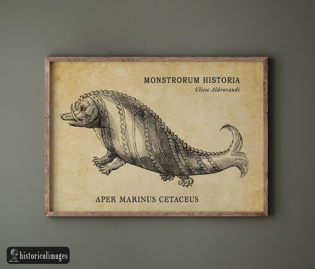 Monster illustration drawed by Aldrovandi for his Monstrorum Historia ...