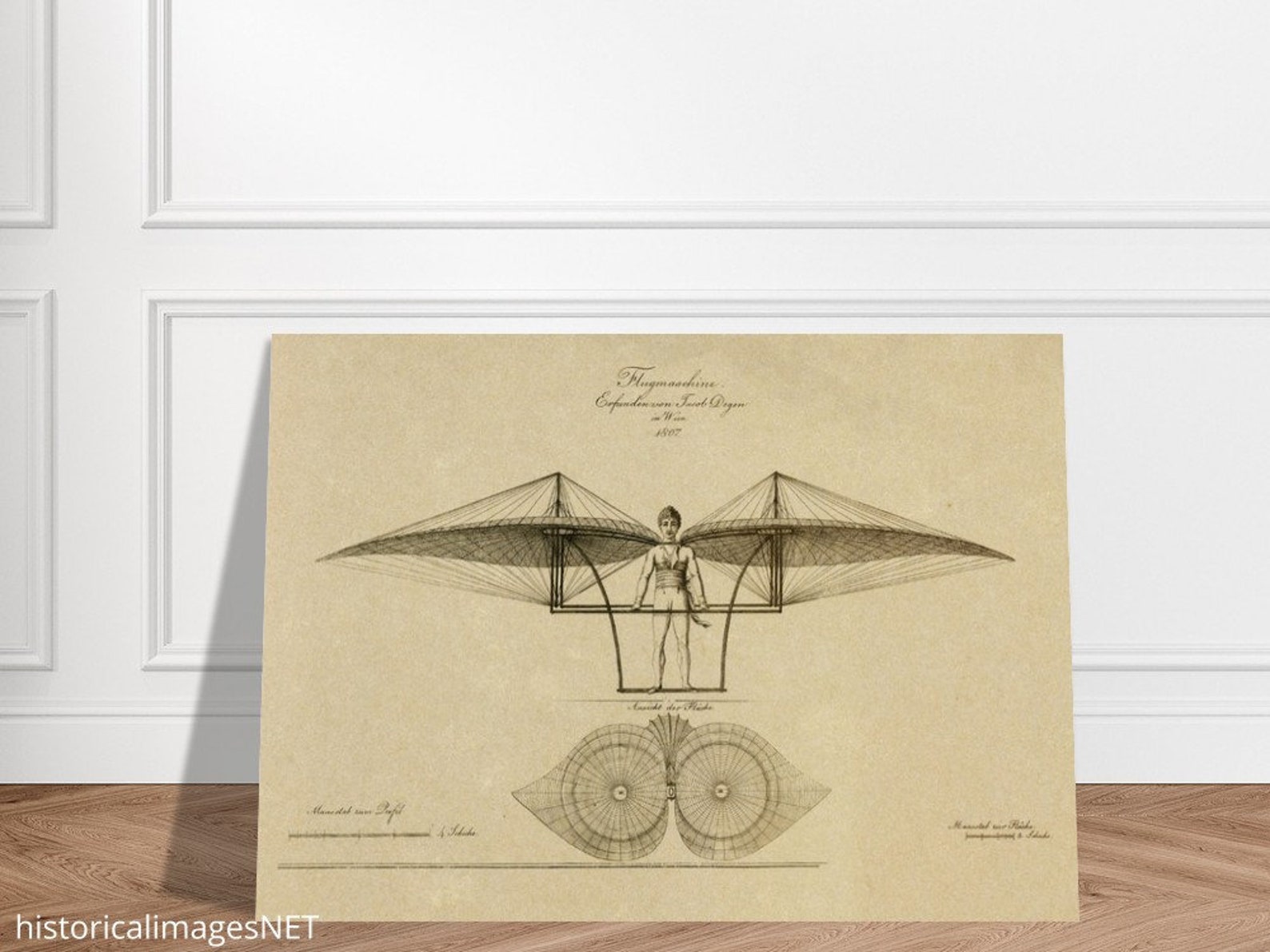 Flight Machine Invented by Jacob Degen in 1807 Also Called Degen ...