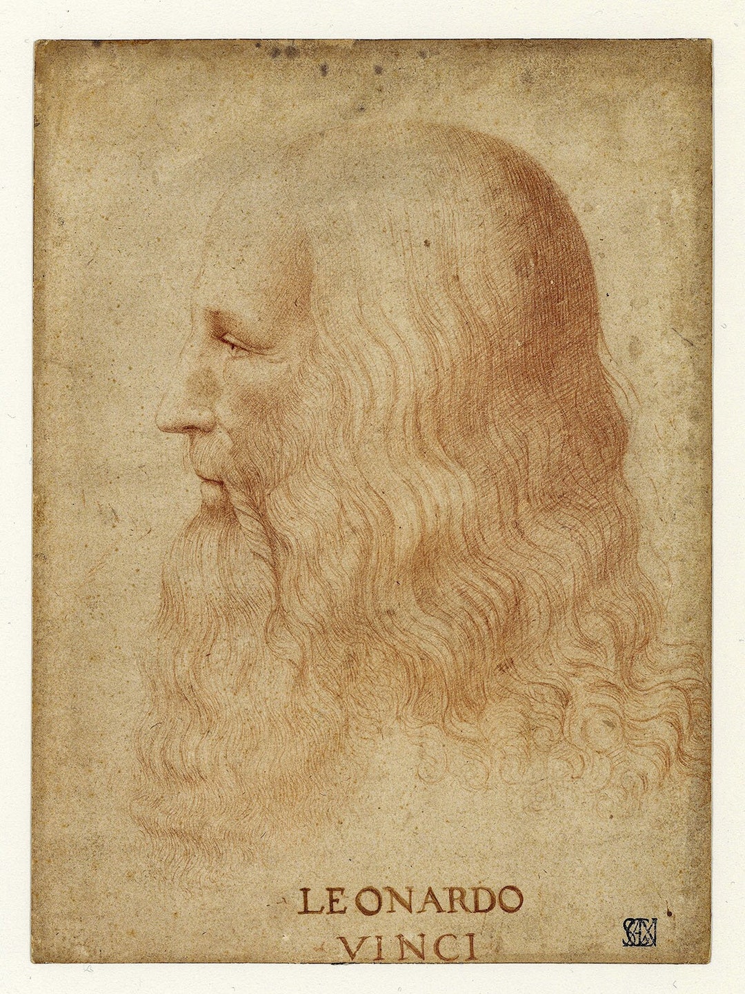 Portrait of Leonardo Da Vinci by Anonimous Artist 1510-1530 Fine Art ...