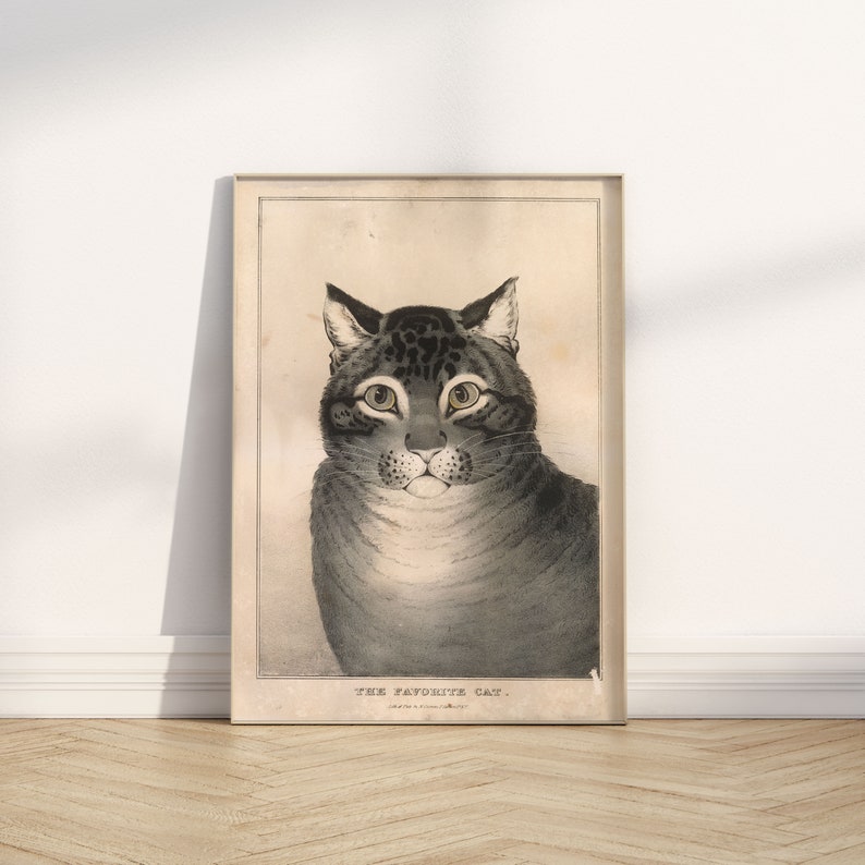 The Favorite Cat Poster Author: Nathaniel Currier 1838 - Etsy