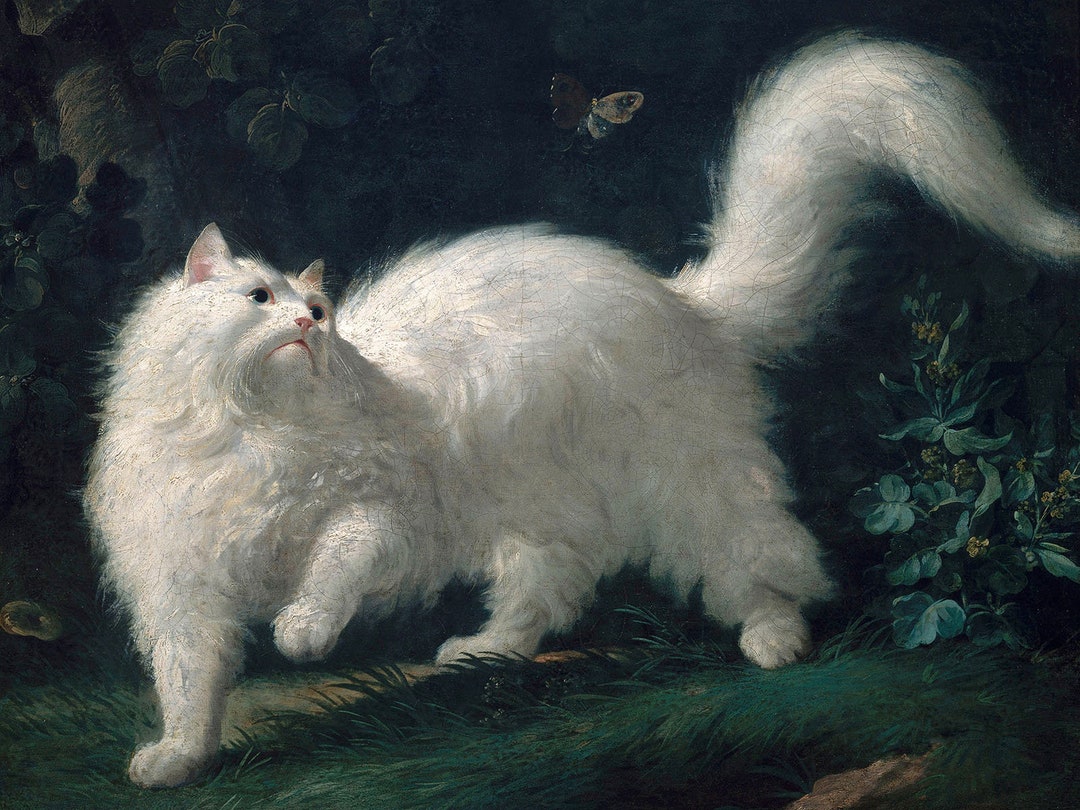White Angora Cat Painting by Jean-jacques Bachelier Poster - Etsy