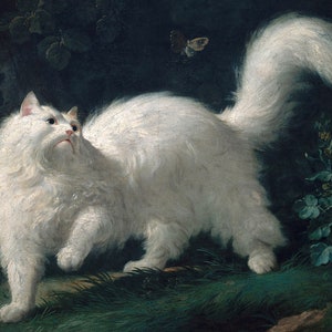 White Angora Cat Painting by Jean-jacques Bachelier Poster - Etsy